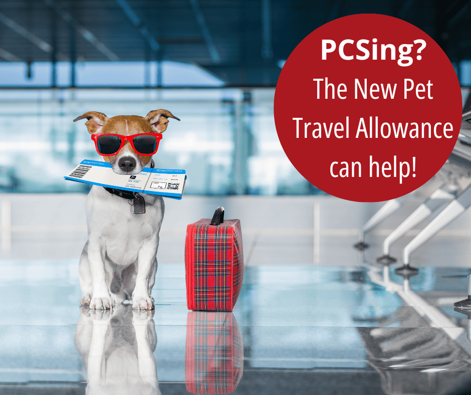 PCSing? Military members can now receive a Pet Travel Allowance ...